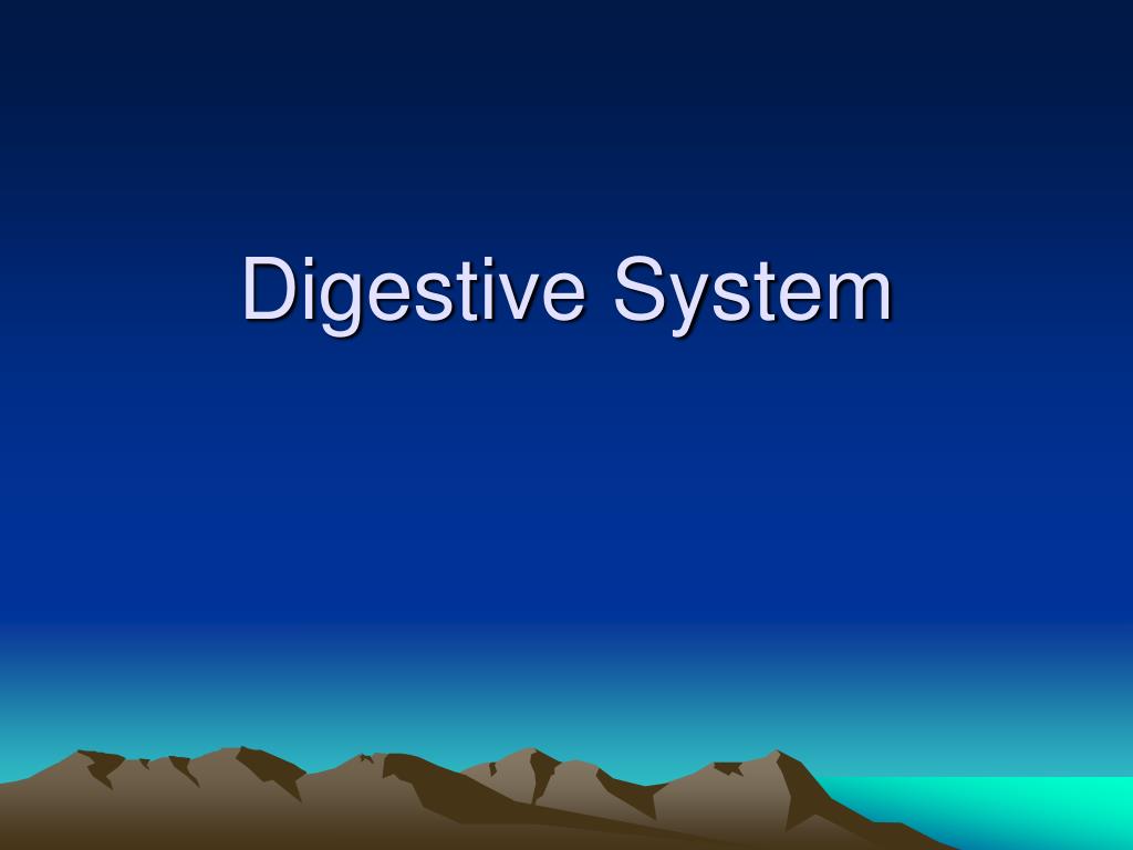 PPT - Digestive System PowerPoint Presentation, free download - ID:1193341