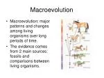 PPT - Next Unit: Evolution & History of Life- Chapters: 22-26 Chapter ...