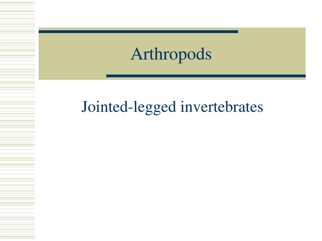 PPT - Arthropods PowerPoint Presentation, free download - ID:1194871