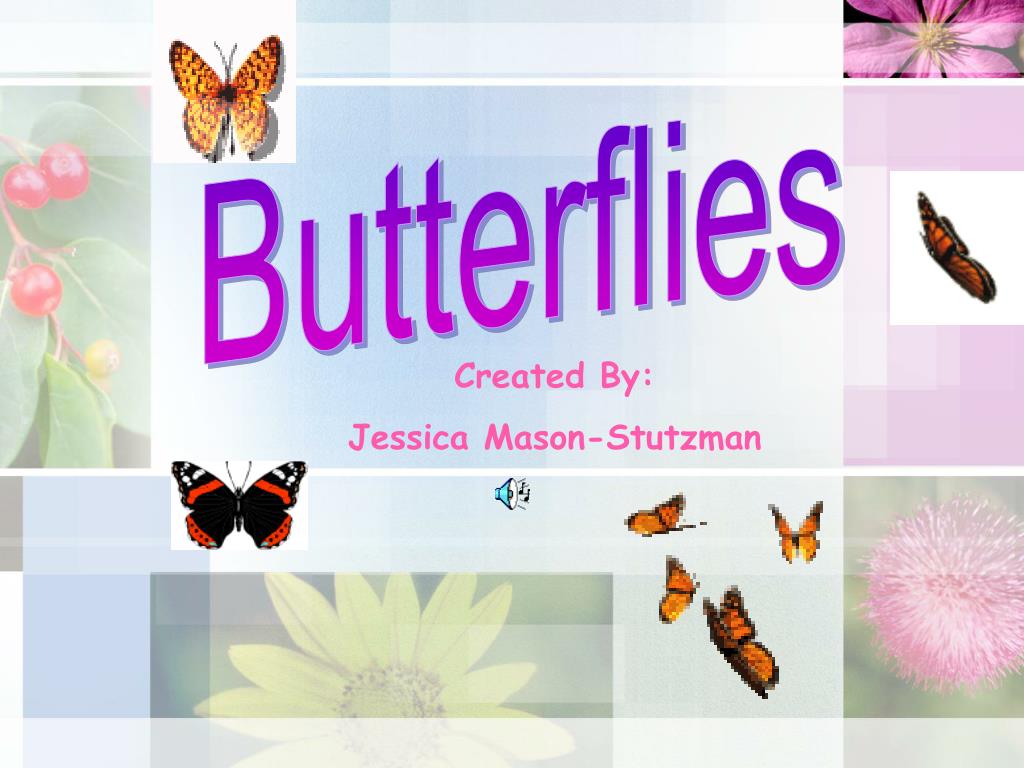 PPT - Butterflies PowerPoint Presentation, free download - ID:1194882