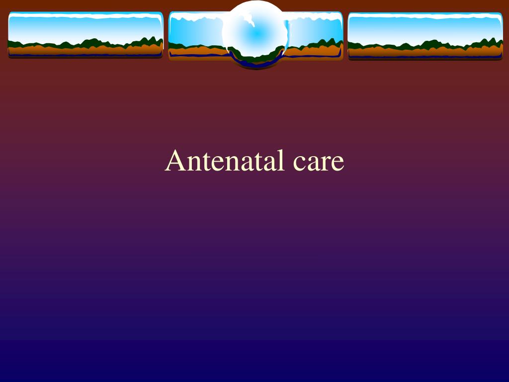 PPT - Antenatal care PowerPoint Presentation, free download - ID:1195038