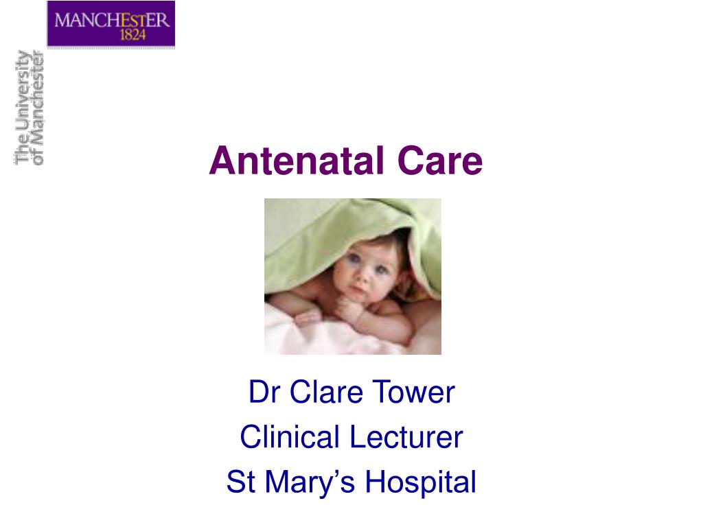 PPT - Antenatal Care PowerPoint Presentation, free download - ID:1196014