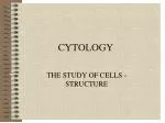 PPT - LIQUID BASED CYTOLOGY PowerPoint Presentation, free download - ID ...