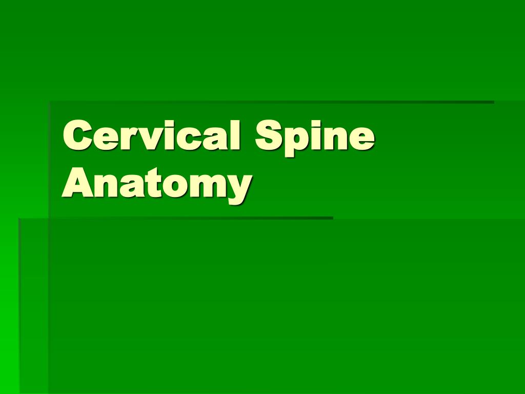 PPT - Cervical Spine Anatomy PowerPoint Presentation, free download ...