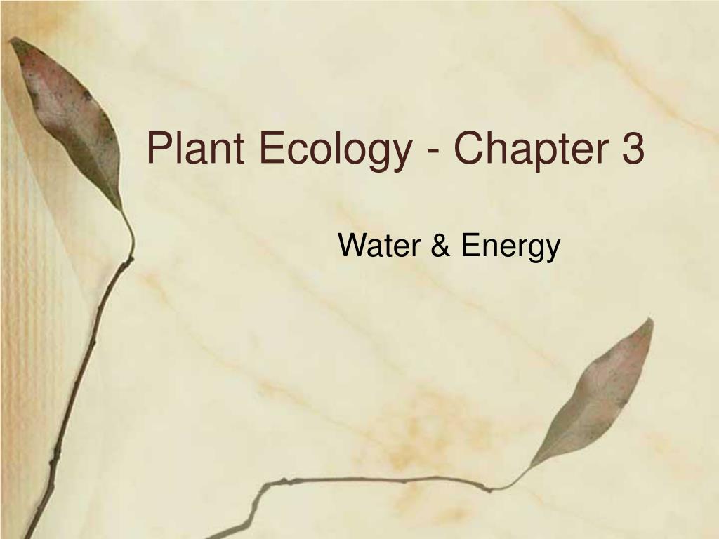 PPT - Plant Ecology - Chapter 3 PowerPoint Presentation, free download ...
