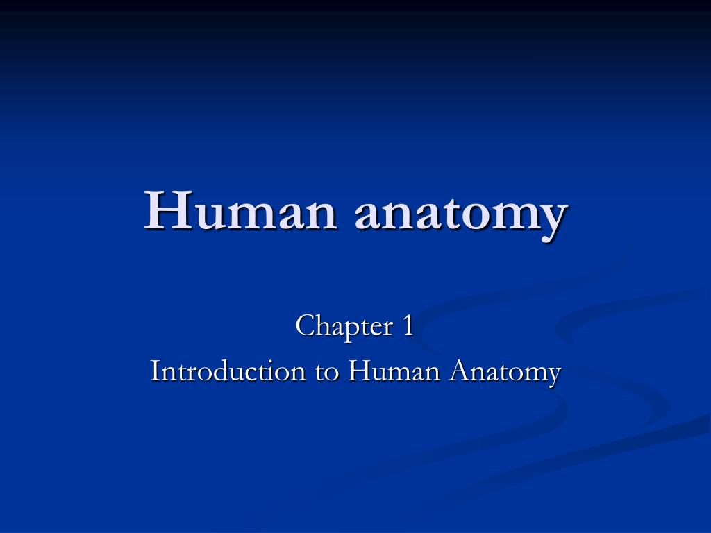 PPT - Human anatomy PowerPoint Presentation, free download - ID:1197335