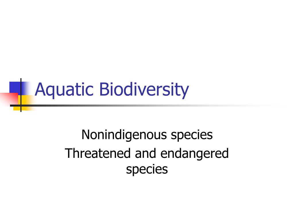 PPT - Aquatic Biodiversity PowerPoint Presentation, free download - ID ...