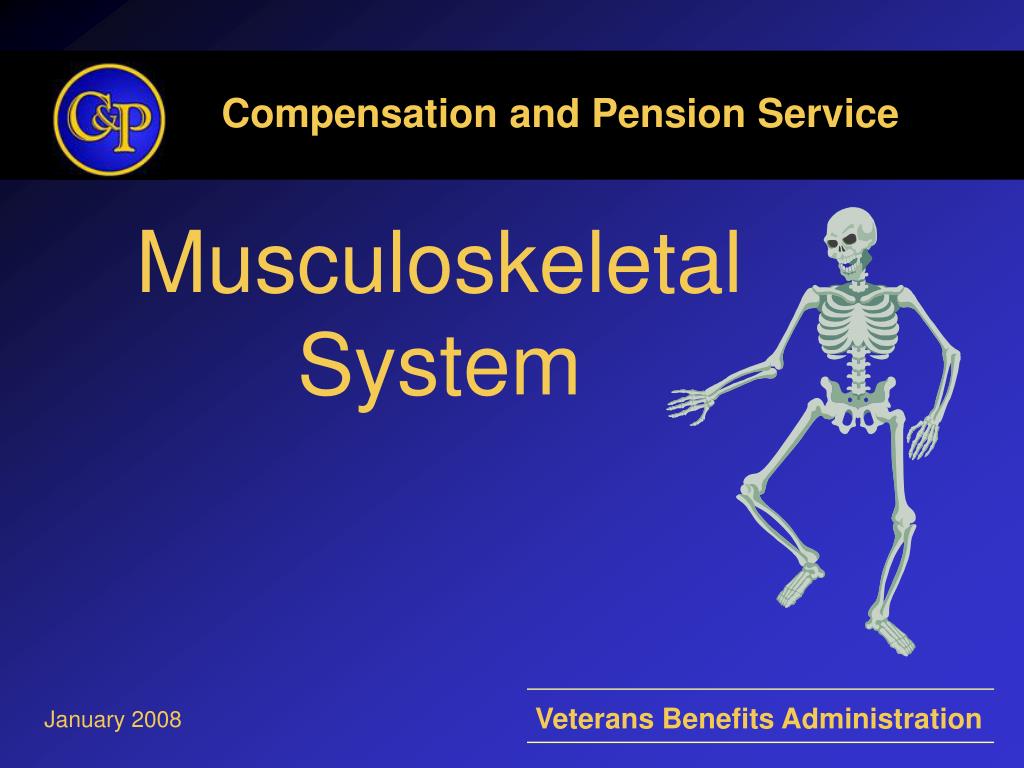 PPT - Musculoskeletal System PowerPoint Presentation, free download ...