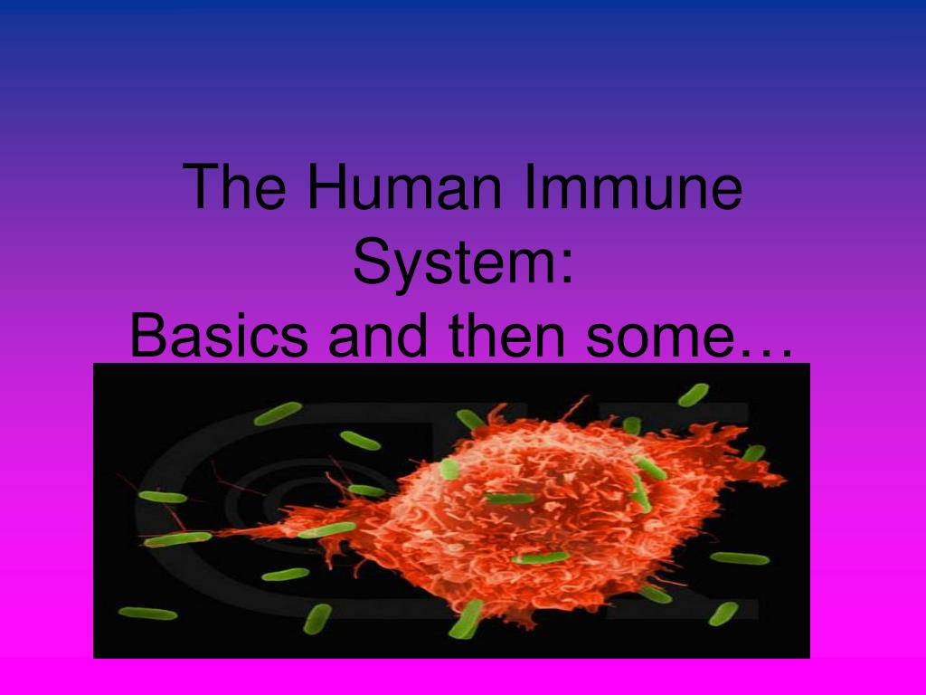PPT - The Human Immune System: Basics and then some… PowerPoint ...