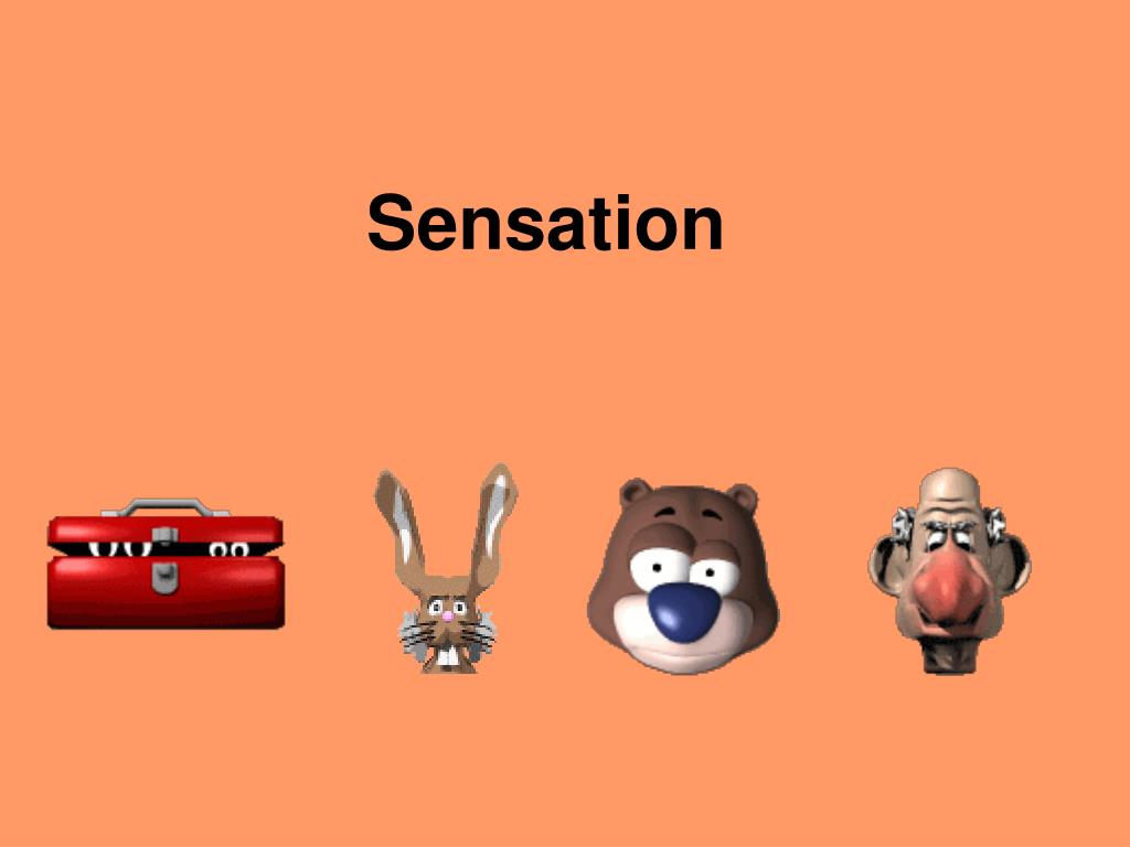 PPT - Sensation PowerPoint Presentation, free download - ID:1200949