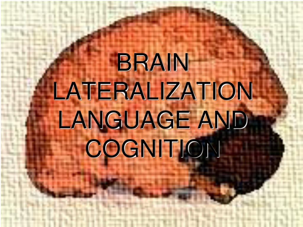 PPT - BRAIN LATERALIZATION LANGUAGE AND COGNITION PowerPoint ...