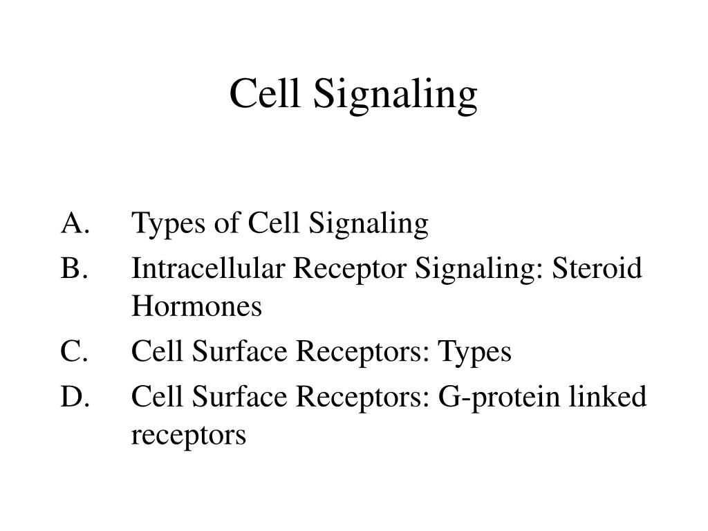 PPT - Cell Signaling PowerPoint Presentation, free download - ID:1202505
