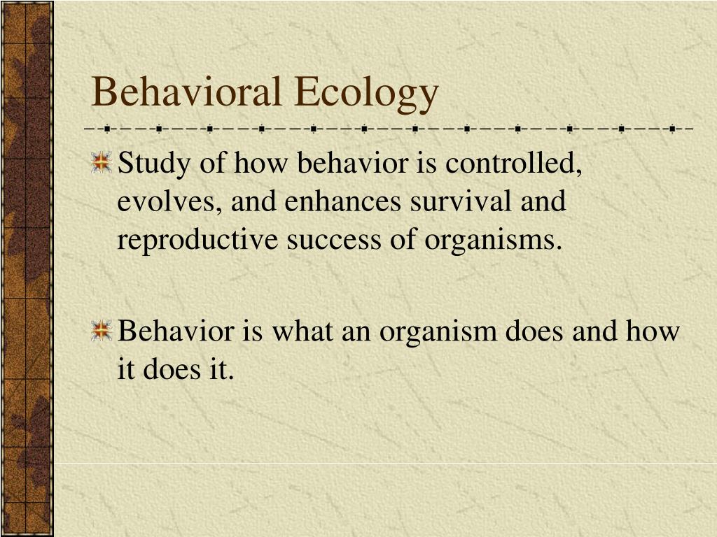PPT - Behavioral Ecology PowerPoint Presentation, free download - ID ...