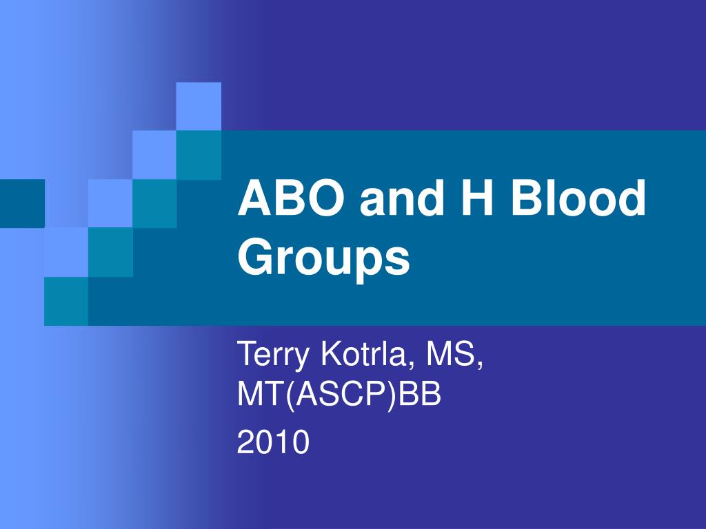 PPT - ABO and H Blood Groups PowerPoint Presentation, free download - ID:1207387