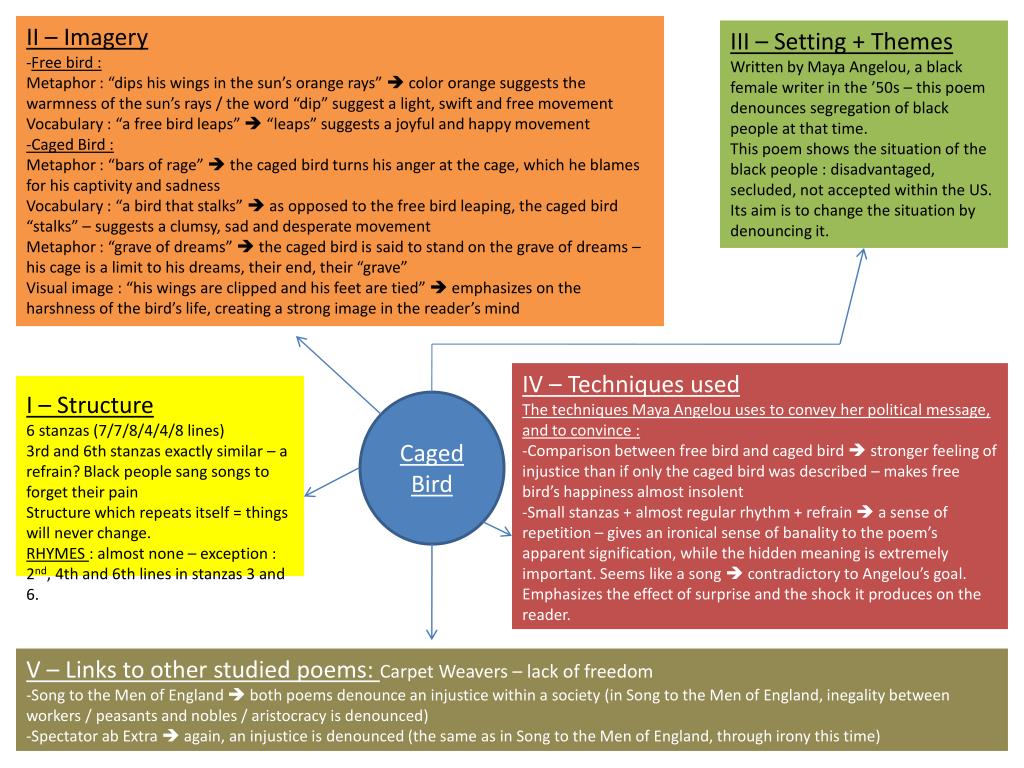 PPT - Caged Bird PowerPoint Presentation, free download - ID:1209928