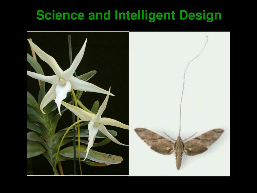 PPT - Science and Intelligent Design PowerPoint Presentation, free ...