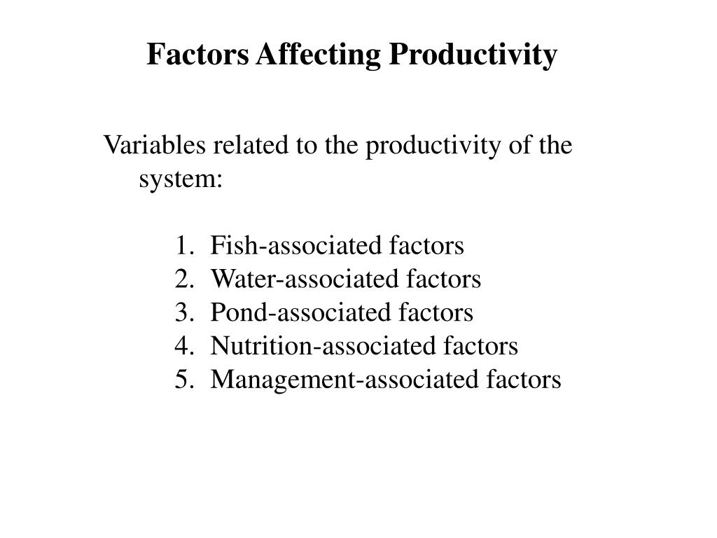 PPT - Factors Affecting Productivity PowerPoint Presentation, free ...