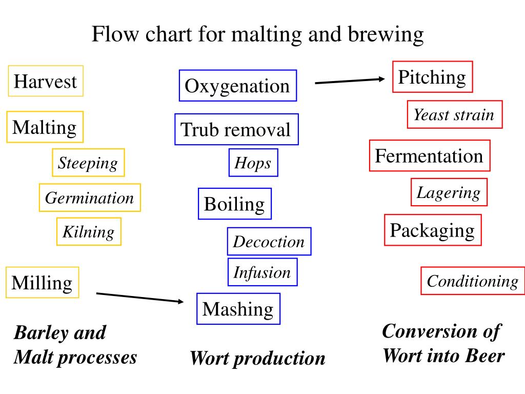 PPT - Flow chart for malting and brewing PowerPoint Presentation, free ...
