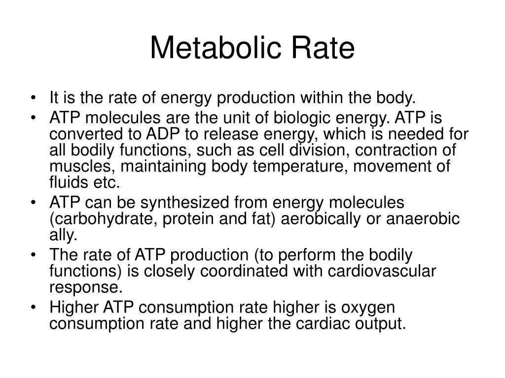 PPT - Metabolic Rate PowerPoint Presentation, free download - ID:1212122
