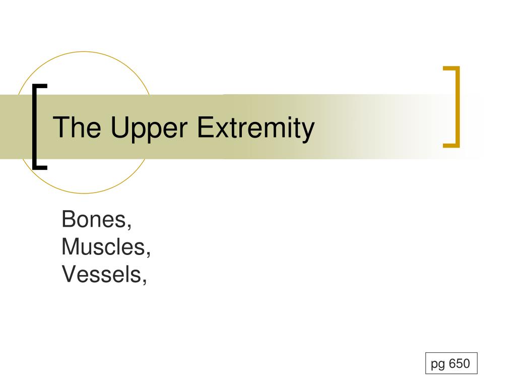 PPT - Upper Extremity Anatomy: Bones, Muscles, Joints, and Vessels ...