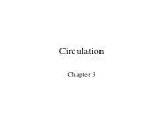 PPT - Double Circulation PowerPoint Presentation, free download - ID ...