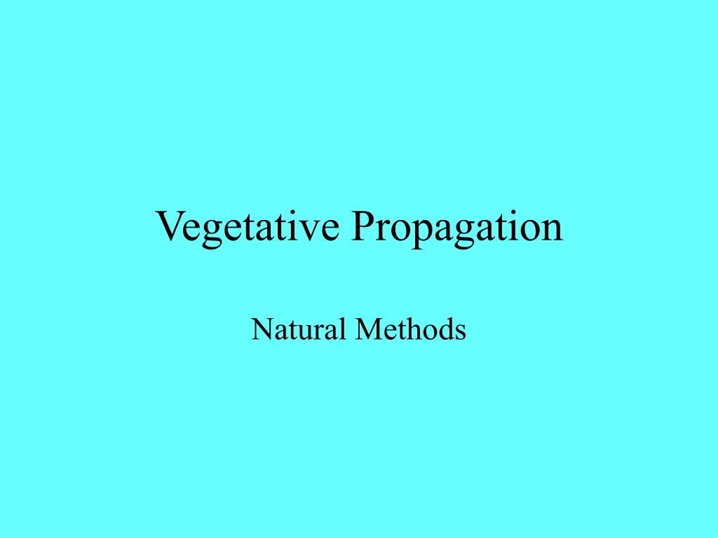 PPT - Vegetative Propagation PowerPoint Presentation, free download ...