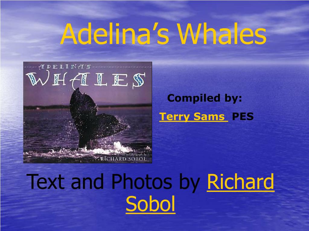 PPT - Adelina’s Whales PowerPoint Presentation, free download - ID:1219498