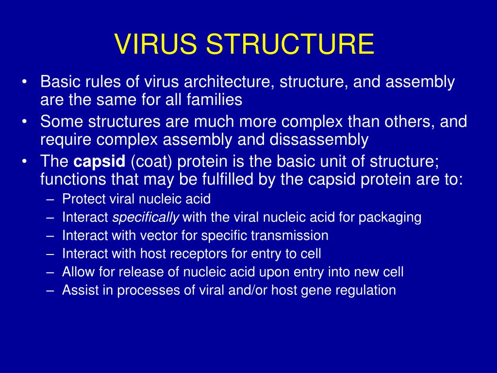 PPT - VIRUS STRUCTURE PowerPoint Presentation, free download - ID:1221298