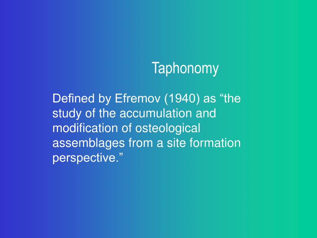 PPT - Taphonomy PowerPoint Presentation, free download - ID:1221848