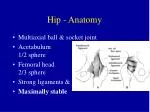 PPT - Hip PowerPoint Presentation, free download - ID:9191646