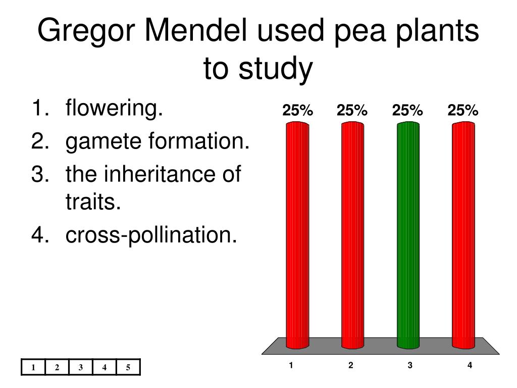 PPT - Gregor Mendel used pea plants to study PowerPoint Presentation ...