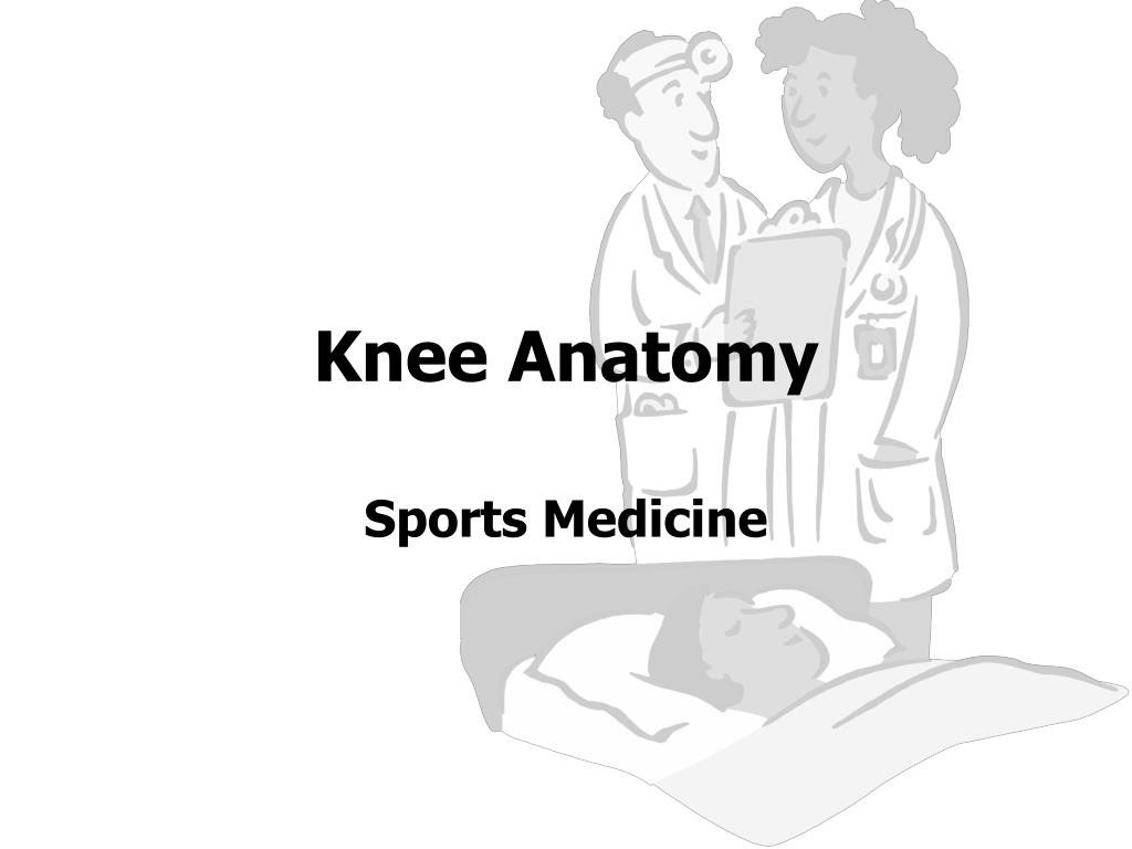PPT - Knee Anatomy PowerPoint Presentation, free download - ID:1227045