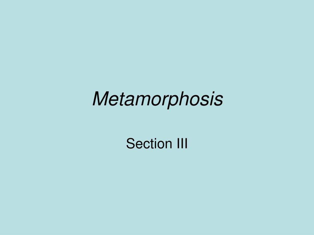 PPT - Metamorphosis PowerPoint Presentation, free download - ID:122872