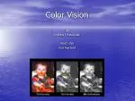 PPT - TEORÍA DEL COLOR PowerPoint Presentation, free download - ID:4811675