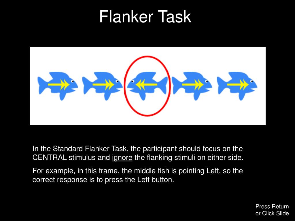 PPT - Flanker Task PowerPoint Presentation, free download - ID:1231713