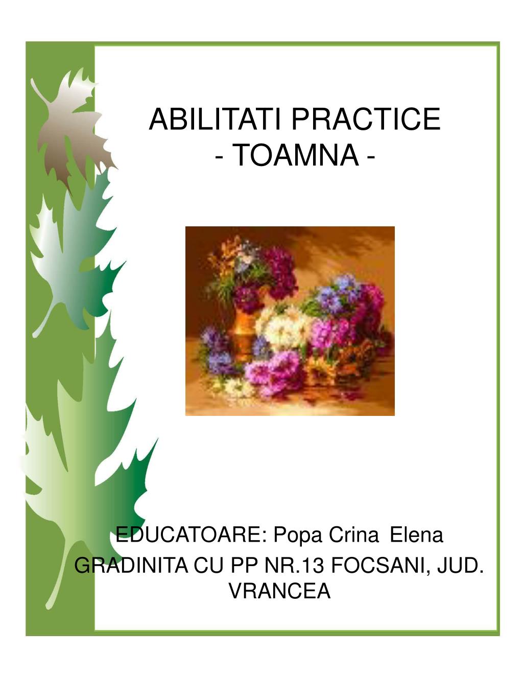 PPT - ABILITATI PRACTICE - TOAMNA - PowerPoint Presentation, free ...