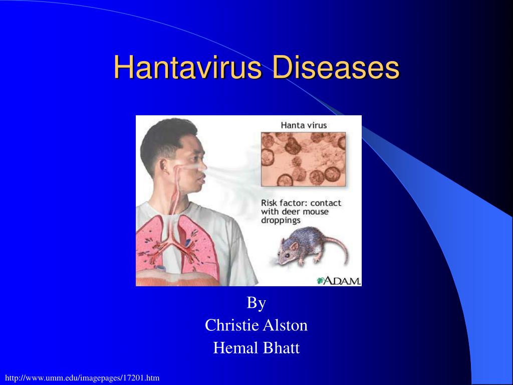 PPT - Hantavirus Diseases PowerPoint Presentation, free download - ID ...