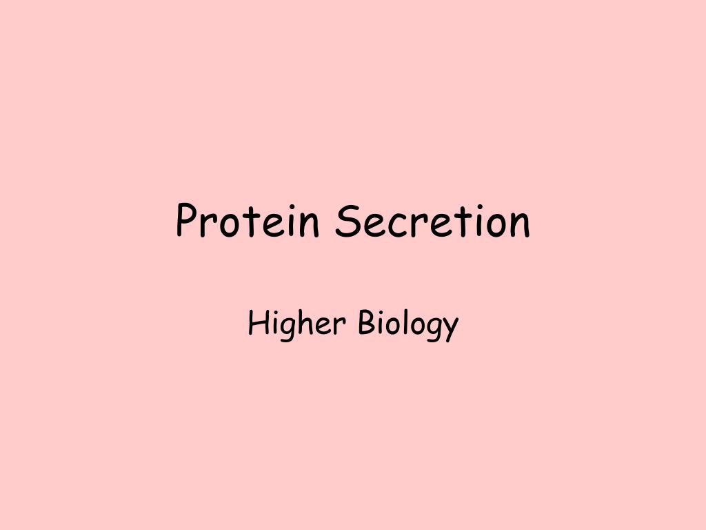 PPT - Protein Secretion PowerPoint Presentation, free download - ID:1241653
