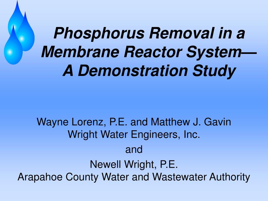 PPT - Phosphorus Removal in a Membrane Reactor System—A Demonstration ...