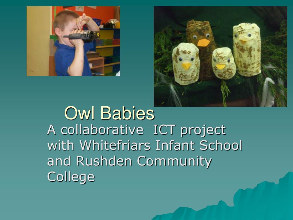 PPT - Owl Babies PowerPoint Presentation, free download - ID:1249164