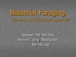 PPT - FORAGING PowerPoint Presentation, free download - ID:2239921