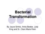 PPT - Bacterial transformation PowerPoint Presentation, free download ...