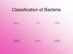 PPT - Classification of bacteria PowerPoint Presentation, free download ...