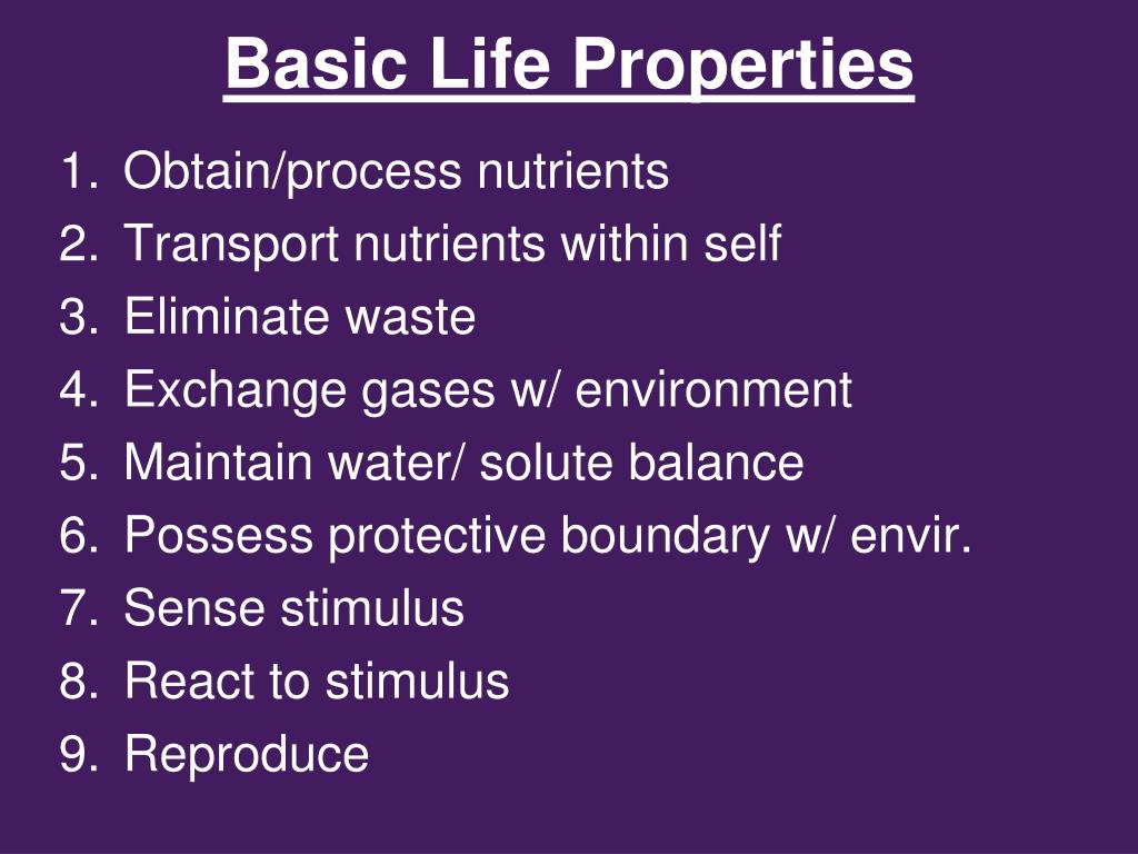 PPT - Basic Life Properties PowerPoint Presentation, free download - ID ...