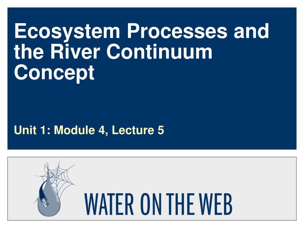 PPT - Ecosystem Processes and the River Continuum Concept PowerPoint ...