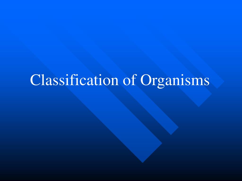 PPT - Classification of Organisms PowerPoint Presentation, free ...