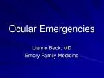 PPT - The Red Eye and Selected Ocular Emergencies PowerPoint ...