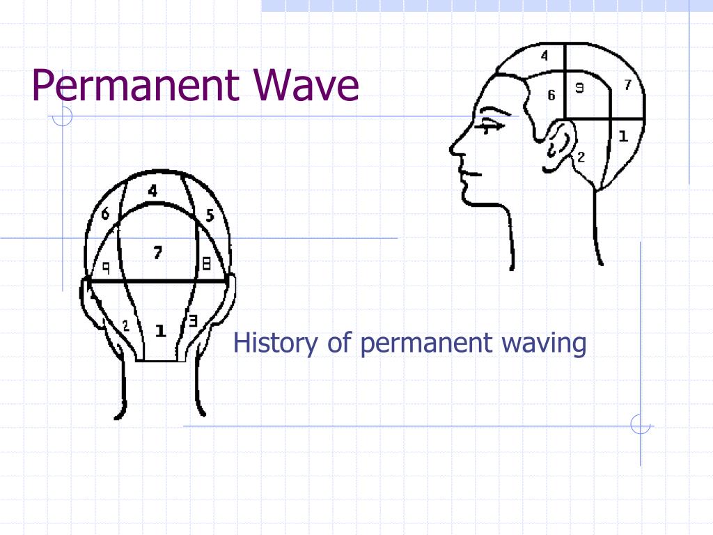 PPT - Permanent Wave PowerPoint Presentation, free download - ID:1259358