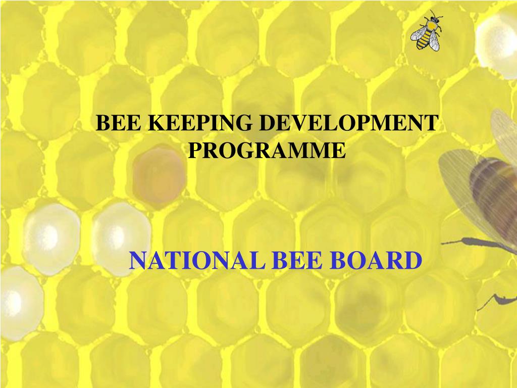 PPT - BEE KEEPING DEVELOPMENT PROGRAMME PowerPoint Presentation, free ...