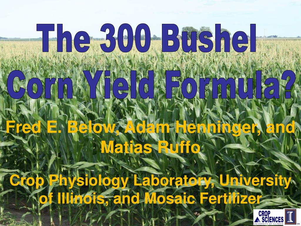 PPT - The 300 Bushel Corn Yield Formula? PowerPoint Presentation, free ...